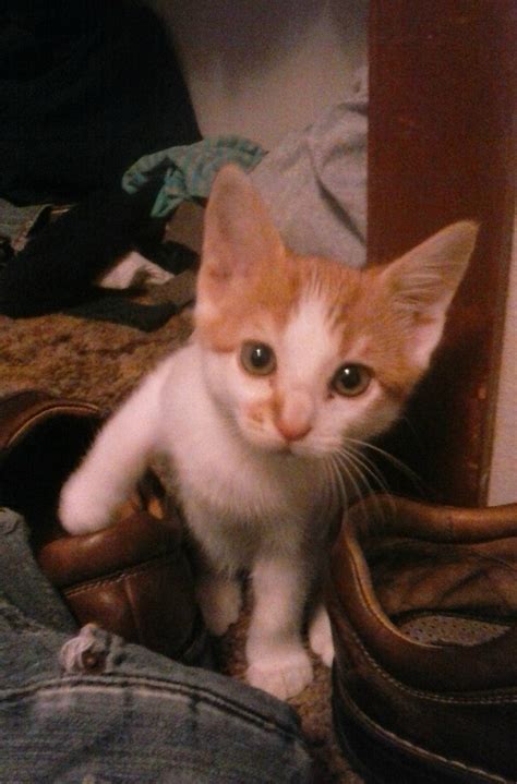 The Explorer Imgur The Explorer Imgur