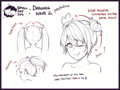 How To Draw Ponytails Ratiosentence21