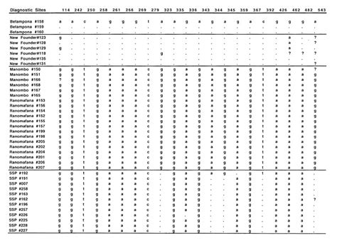Results Of Population Aggregation Analysis Of 548 Bases Of D Loop