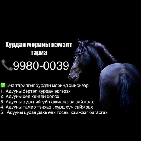 Хурдан морины нэмэлт хэрэглээ