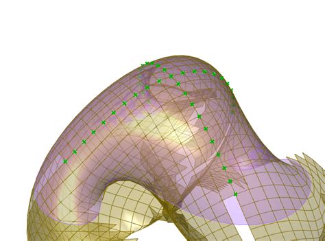 Need Help In Draping Chebyshev Net On To A Boys Surface Using Kangaroo