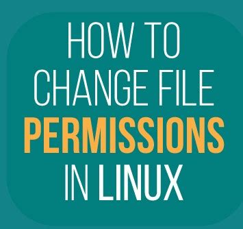 How To Change File Permissions In Linux WEB HOSTING PUNE
