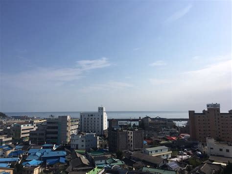 강릉2박3일 여행기 음식여행 에펨코리아