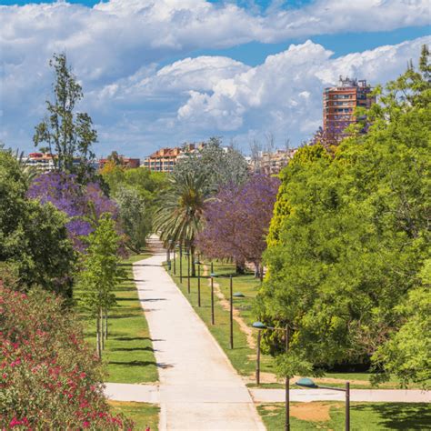 Discover The Turia Gardens Valencia Walking Tour