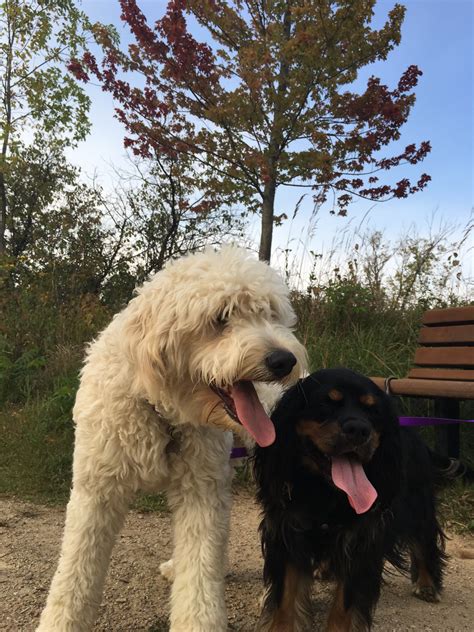 Data Driven Connection Conscious Qanda With Sheri Pollack News And Insights Gray