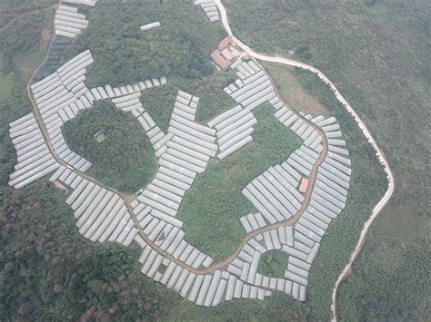 扶贫路上酒已浓 知乎