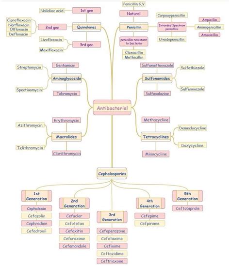 Antibiotic Classification Chart Nel 2025 Come Prendere Appunti Infermieristica Scienza