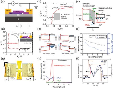 A A Schematic Back‐gated Asp Mos2 Heterostructure Phototransistor With Download Scientific