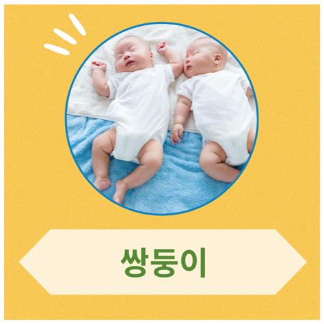 시험관 이식 후 일란성 이란성 쌍둥이 임신 얼마나 네이버 블로그