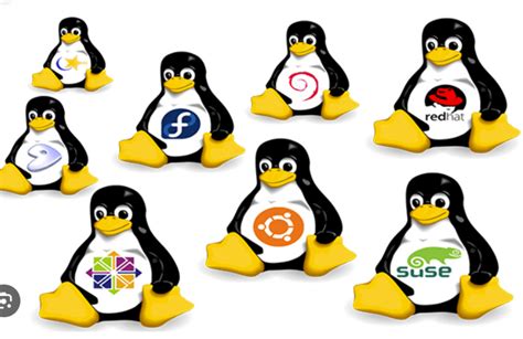 Vps Linux Việt Nam Là Gì Ưu điểm Của Vps Linux Việt Nam