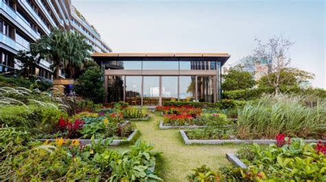 K11 Musea Arts And Culture Meetings And Exhibitions Hong Kong