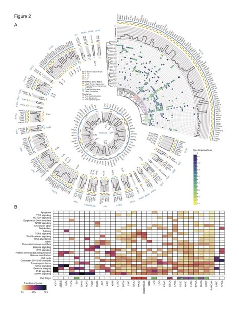 Driver Alterations In Cancer Genomes Karchin Lab
