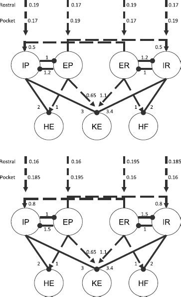 Synaptic Weights And Input Strengths Two Different Sets Of Synaptic
