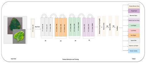 Agronomy Free Full Text Transform And Deep Learning Algorithms For The Early Detection And