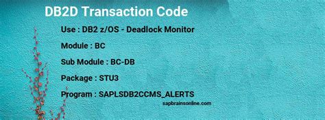 DB2D SAP Tcode For DB2 Z OS Deadlock Monitor