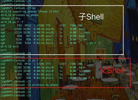 Linux之环境变量 知乎