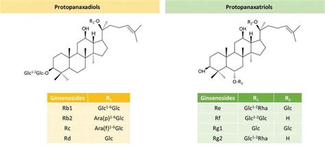 How Do Extraction Methods And Biotechnology Influence Our Understanding