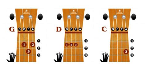 Basic Ukulele Chords For Beginners Know Your Instrument