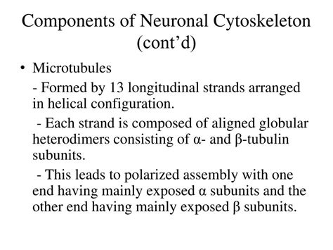 Ppt Neuronal Cytoskeleton Structure And Function Powerpoint Presentation Id 5496987