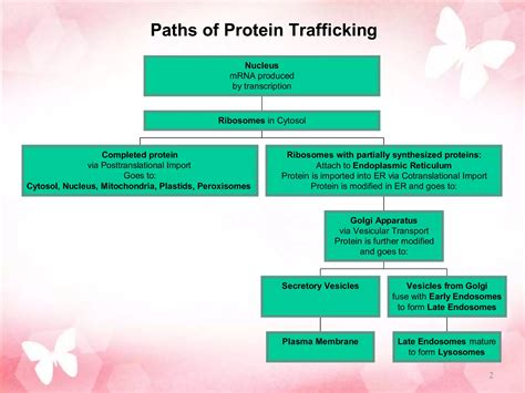 Protein Traffickingpptx Biological Sciences Science