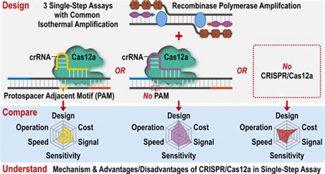 Elucidating The Role Of Crisprcas In Single Step Isothermal Nucleic Acid Amplification Testing
