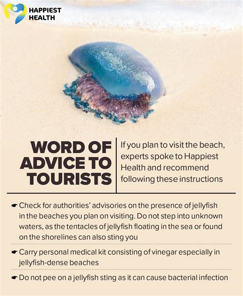 How To Manage A Jellyfish Sting Happiest Health