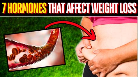 Mastering Weight Loss Hormones Optimize Your Diet Exercise And Sleep