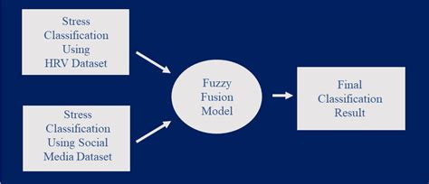 Workflow Diagram For Decision Fusion Download Scientific Diagram