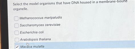 Solved Select The Model Organisms That Have Dna Housed In A