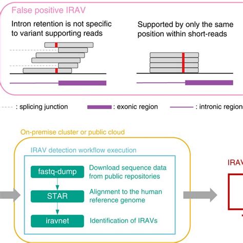 Schematics Of Identification Intron Retention Associated Variants A