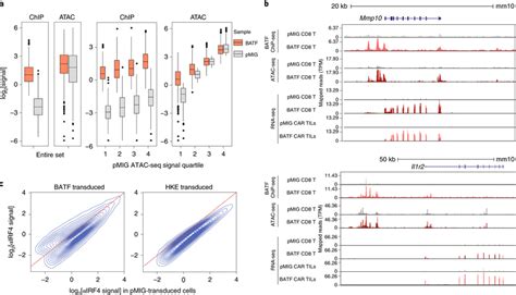 Relationship Of Batf Binding To Chromatin Accessibility And Gene