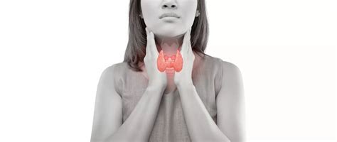 The Importance Of Thyroid Function Tests In Diagnosing Hyperthyroidism