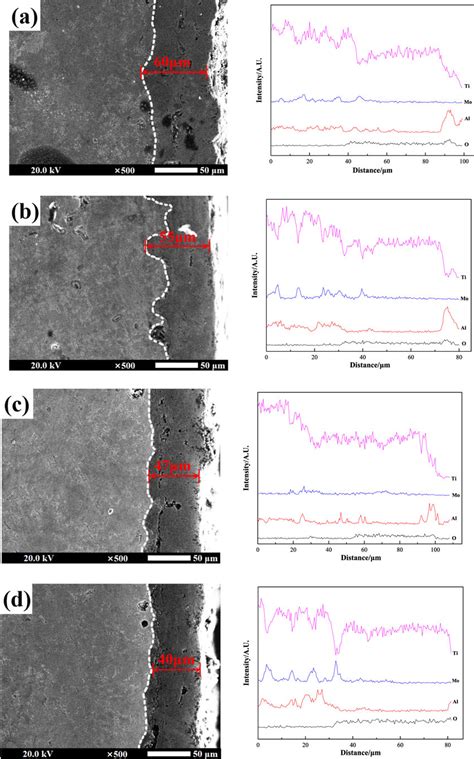 Cross Section Morphologies Of Composites At 750 °c For 100 H A 1