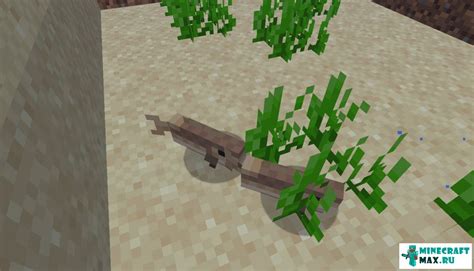 Яйцо призыва трески Яйца призыва Как сделать в Майнкрафт