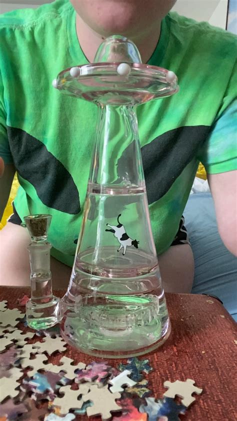 My New Bong Finally Came In Rentwives