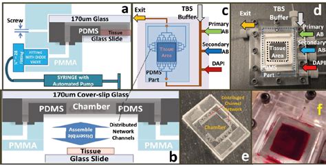 A Illustration Of The External Fluidic Circuit With Functional Parts