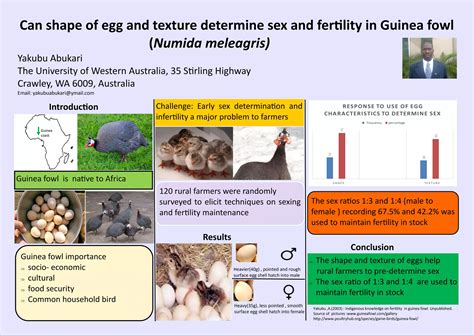Can Shape Of Egg And Texture Determine Sex And Fertility In Guinea Fowl Numida Meleagris PPT