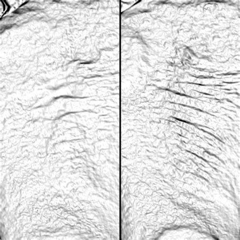 Figure 1 From Footprint Based Biometric Verification Semantic Scholar