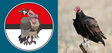 Pokemon And Animal Mandibuzz By Frylock921 On Deviantart