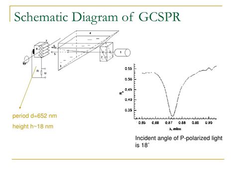 Ppt Grating Coupled Spr For Rapid Label Free Array Based Sensing