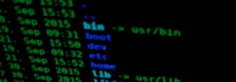 Linux Para Dbas Sql Server 10 Diferenças Do Sistema Operacional