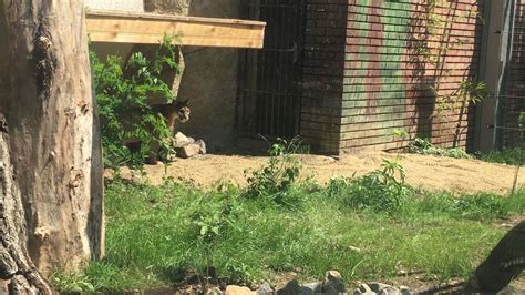 Зелени решения за София Home Facebook