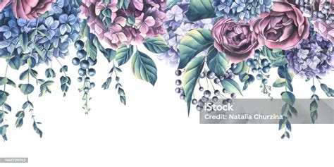 수국 꽃 유칼립투스 가지 장미 및 장식 열매 가로 배너입니다 웨딩 플라워 컬렉션의 수채화 삽화 디자인과 장식용 3월에 대한 스톡 벡터 아트 및 기타 이미지 Istock