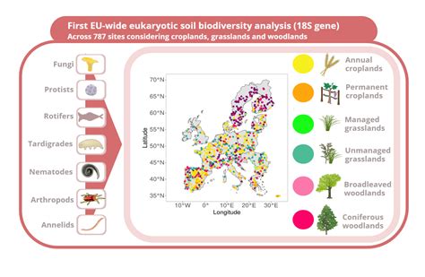 Soil Functions Data Esdac European Commission