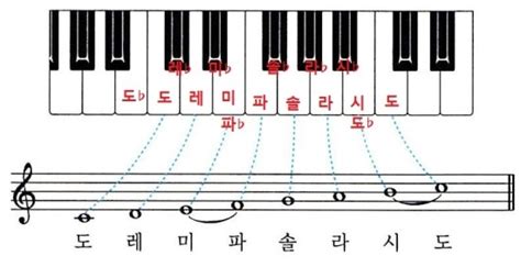 6 샵과 플랫 네이버 블로그