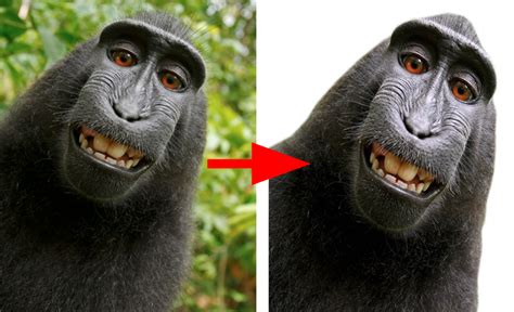 Kaggle Deep Learning To Create A Model For Binary Segmentation Of Car Images