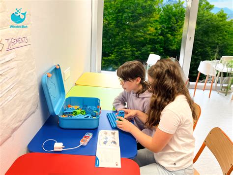 Whalesbot An All Encompassing View Of Robotics And Coding Integration