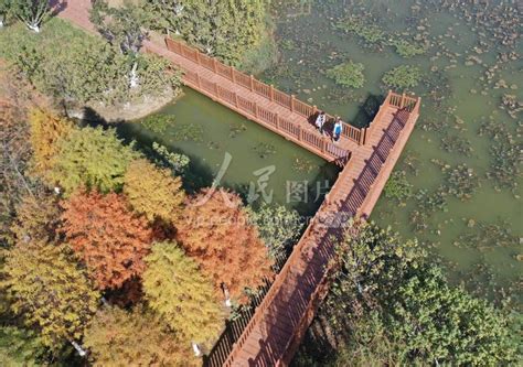湖南道县公园冬景如画 人民图片网