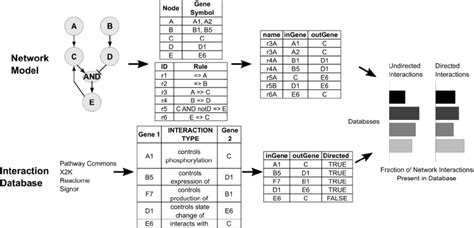 process used to benchmark protein interaction databases against
