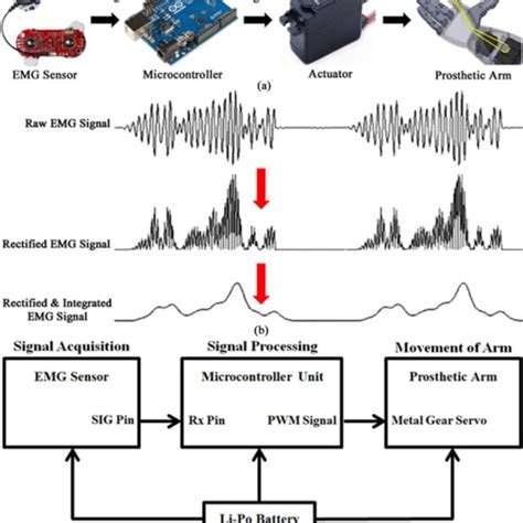 System Architecture Of The Prosthetic Arm A Controlling Principle Of Download Scientific